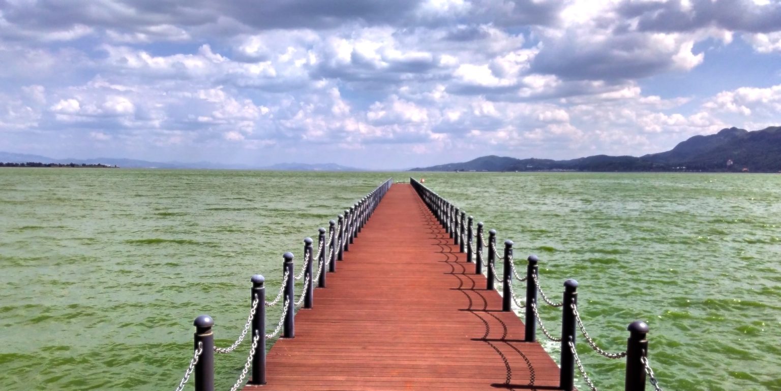 Restoration of wetlands in the Dianchi Lake basin, Kunming, for water ...